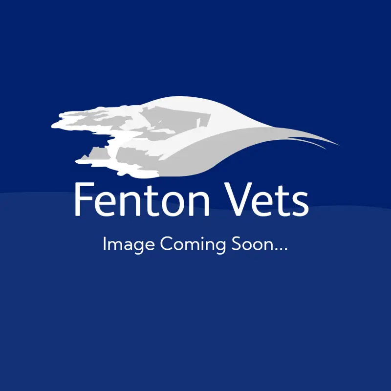 Meet The Team | Fenton Vets | Award-Winning Independent Veterinary ...