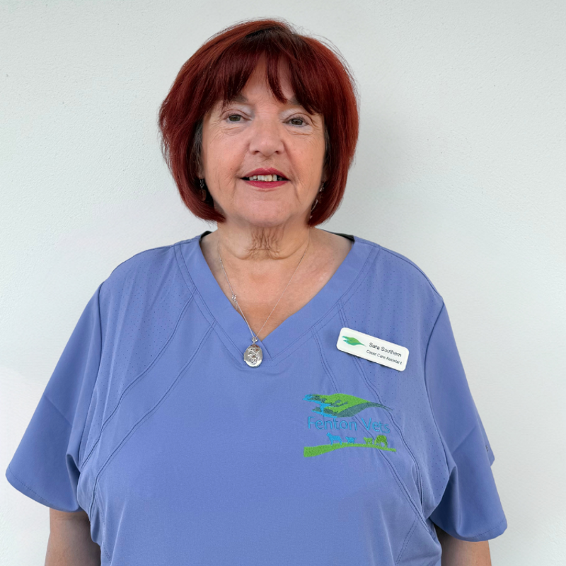 Sara S | Fenton Vets | Award-Winning Independent Veterinary Service In ...
