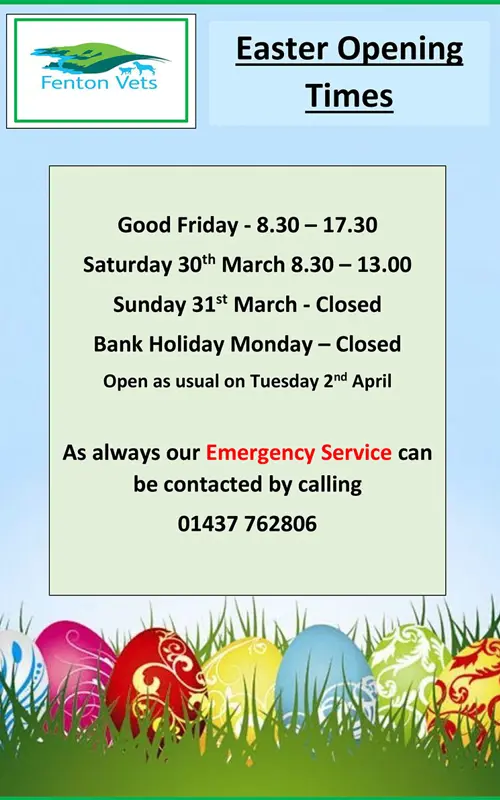 Easter opening times for Haverfordwest | Fenton Vets | Award-Winning ...