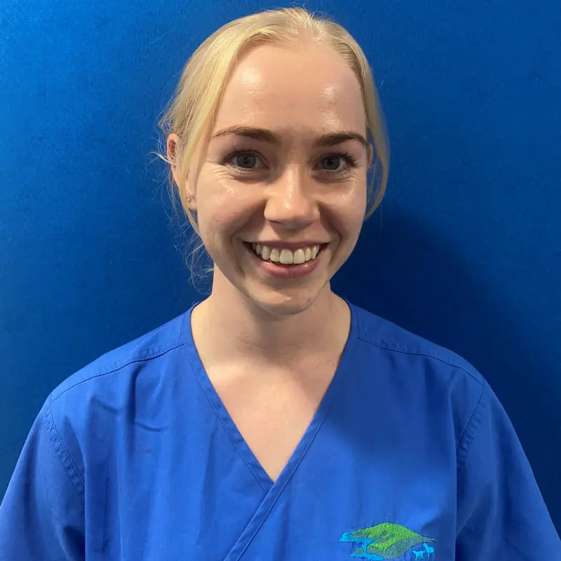 Meet The Team | Fenton Vets | Award-Winning Independent Veterinary ...